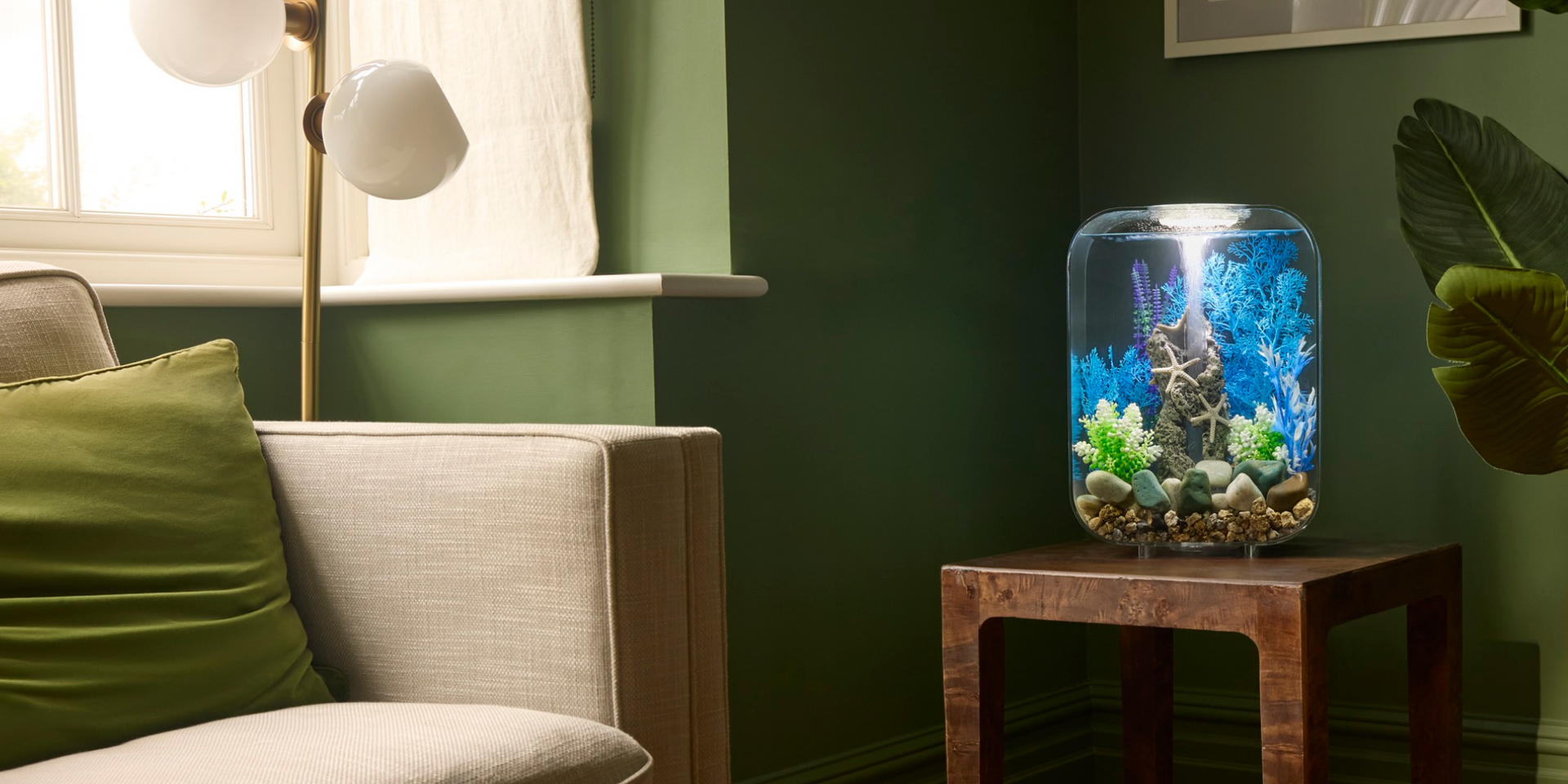 biOrb LIFE Aquariums for Stunning Aquatic Displays | biOrb UK
