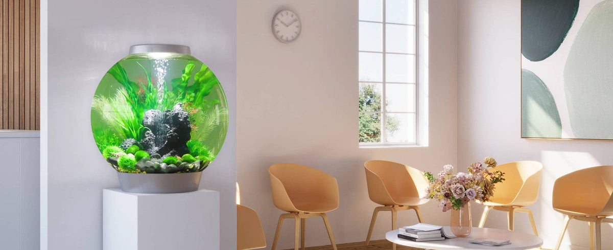 Save on biOrb Aquariums, Décor & Accessories | biOrb