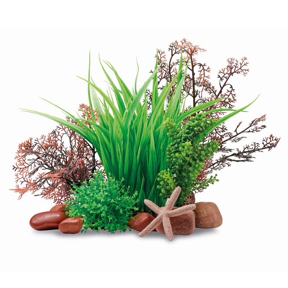 biOrb UK - Aquariums, Terrariums and Vivariums