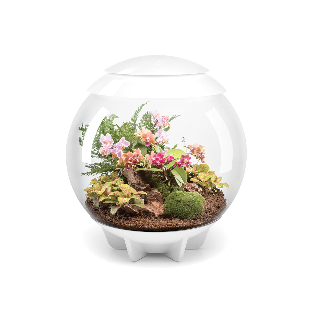 biOrb UK - Aquariums, Terrariums and Vivariums