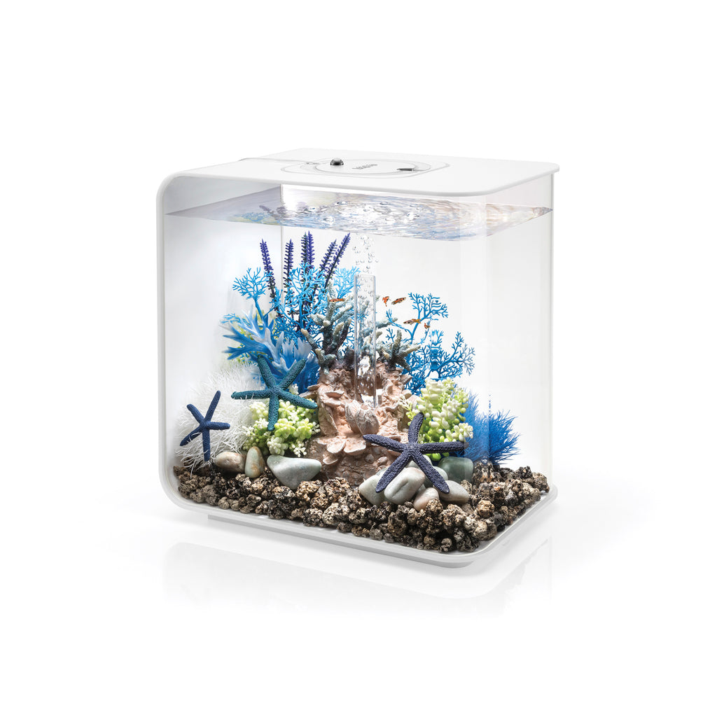 biOrb UK - Aquariums, Terrariums and Vivariums