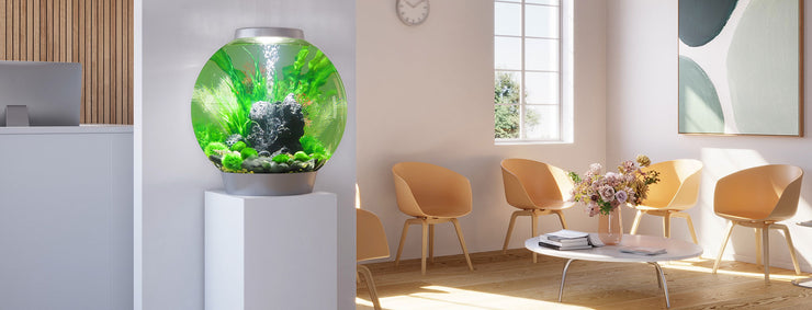biOrb FAQs for Aquariums and Fish Care | biOrb UK