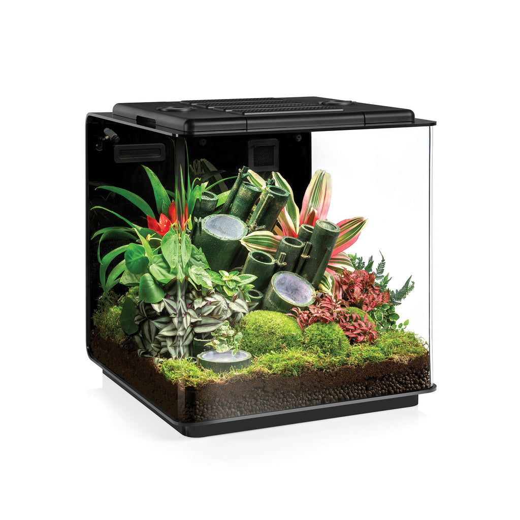 biOrb UK - Aquariums, Terrariums and Vivariums