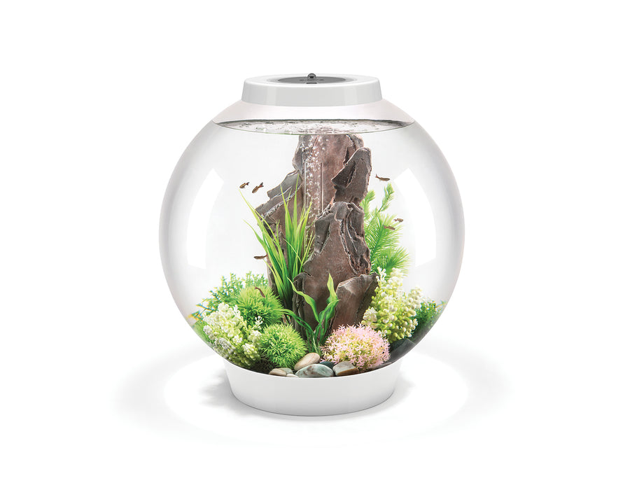 biOrb Classic Aquarium: Stylish Design for Every Home | biOrb UK