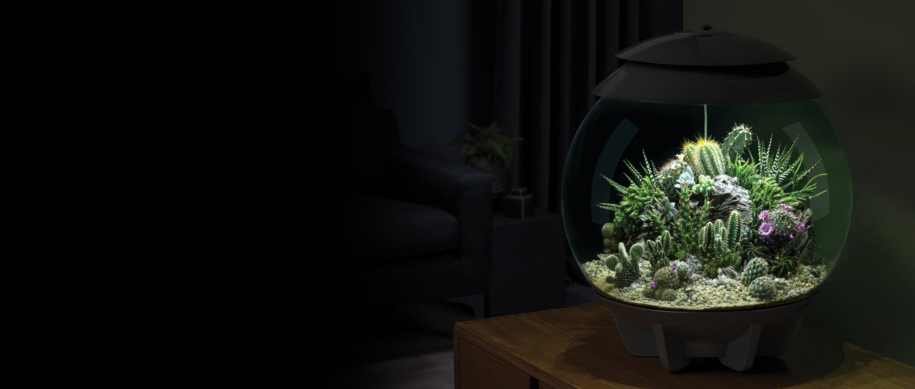 Stylish biOrb Terrariums for Modern Living Spaces | biOrb UK