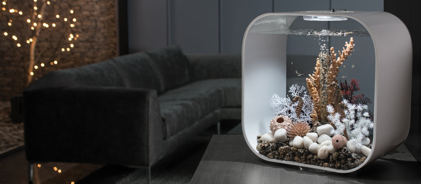 Stylish biOrb Aquariums for Every Enthusiast | biOrb UK