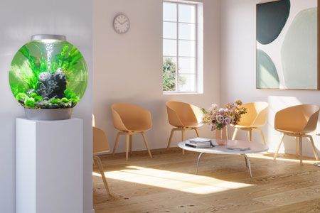 biOrb UK - Aquariums, Terrariums and Vivariums