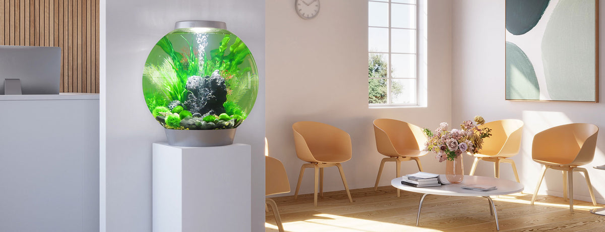 Sale – biOrb