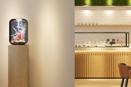 biOrb UK - Aquariums, Terrariums and Vivariums