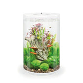 Stylish biOrb Aquariums for Every Enthusiast | biOrb UK
