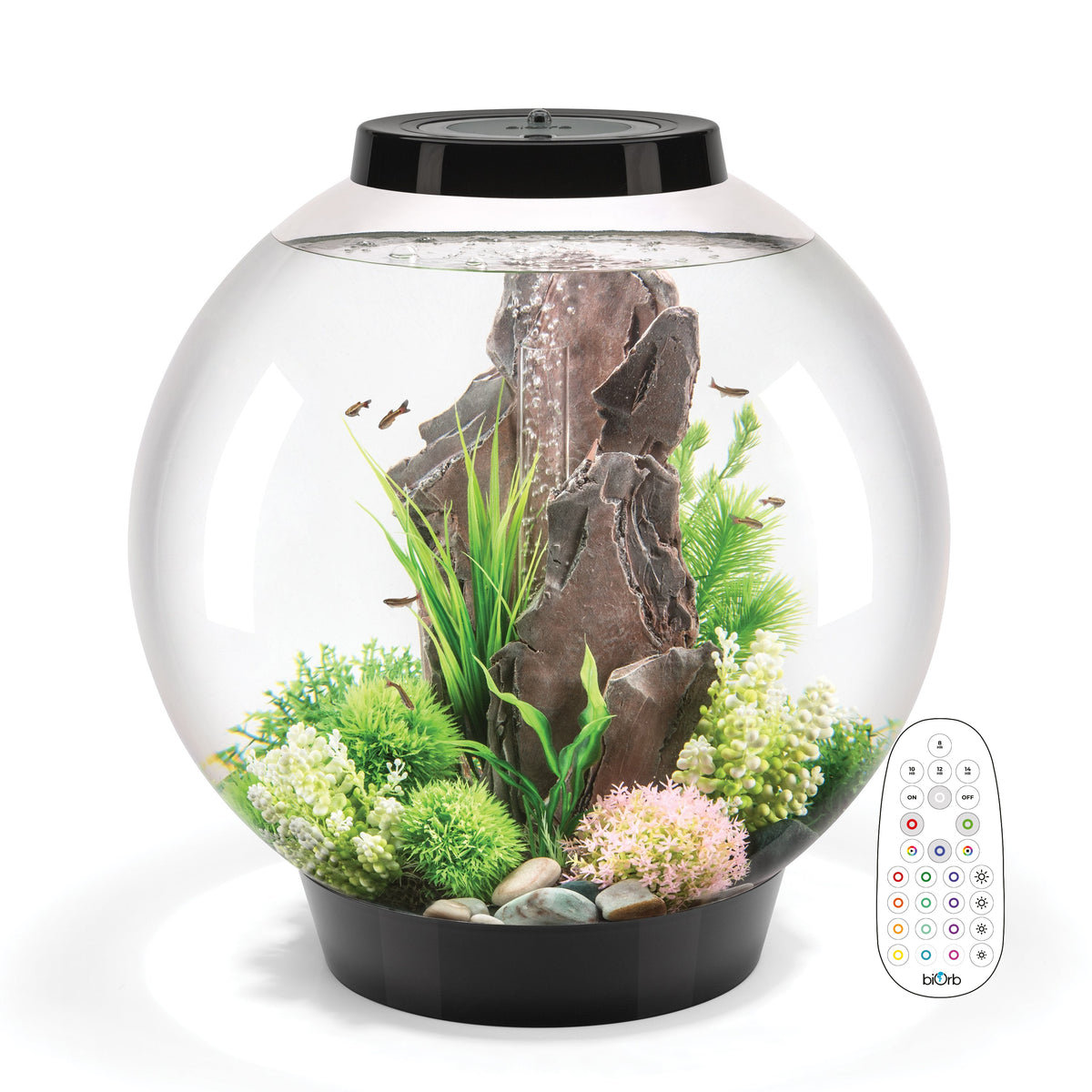 Colorful LED Classic 60 Aquarium with Remote Control | biOrb UK