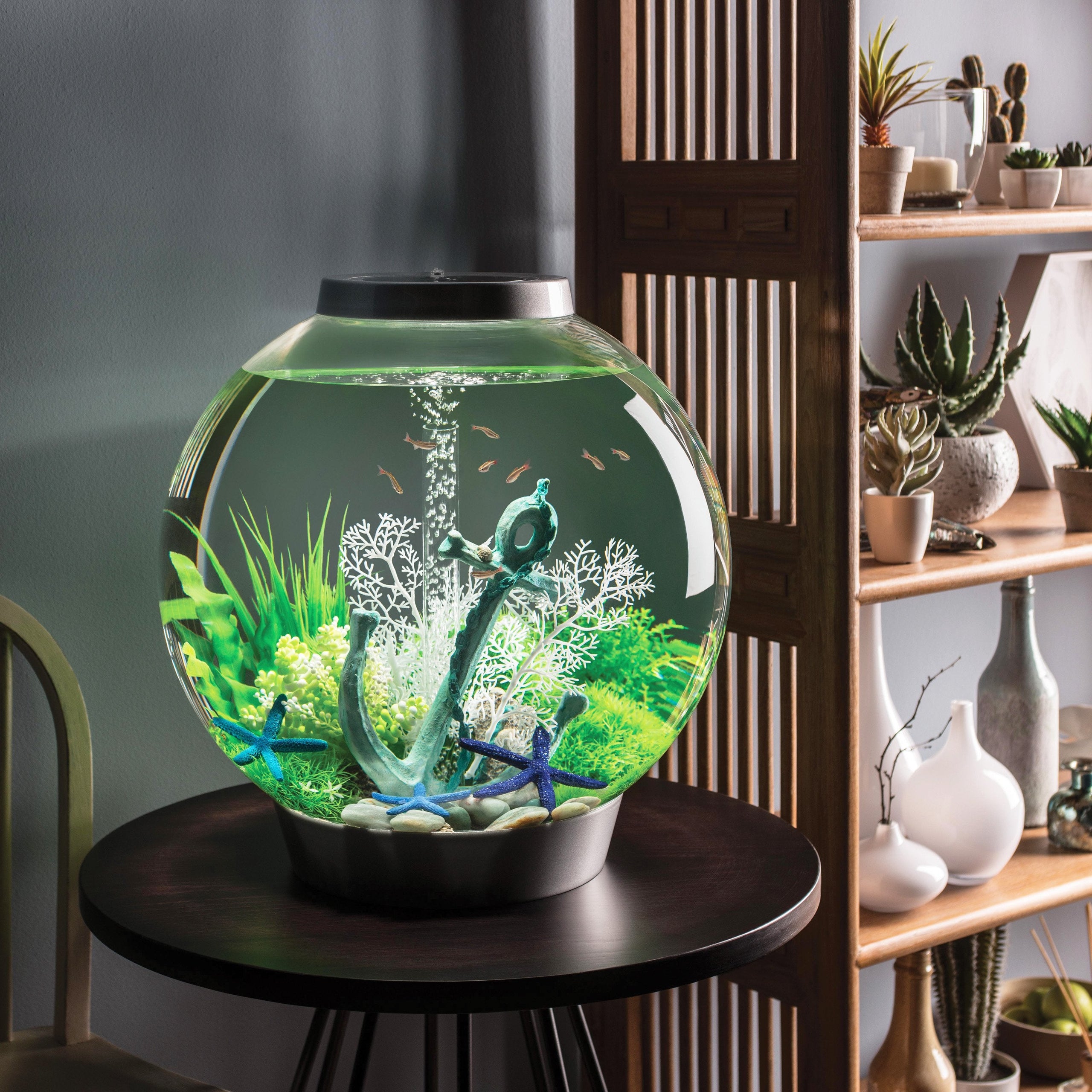 biOrb UK - Aquariums, Terrariums and Vivariums