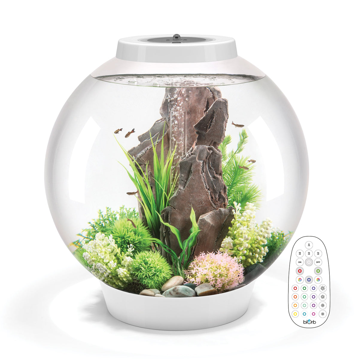 biOrb UK - Aquariums, Terrariums and Vivariums