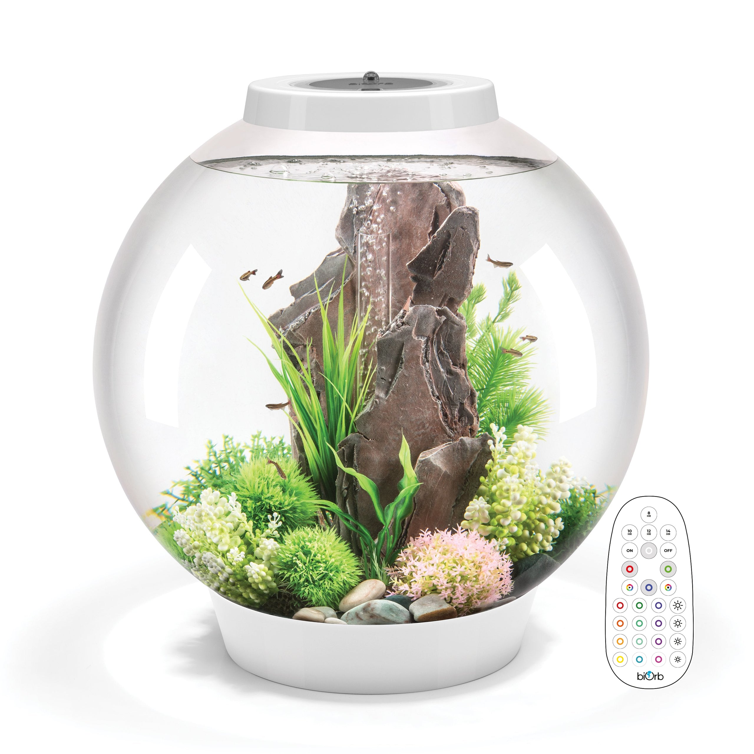 biOrb UK - Aquariums, Terrariums and Vivariums