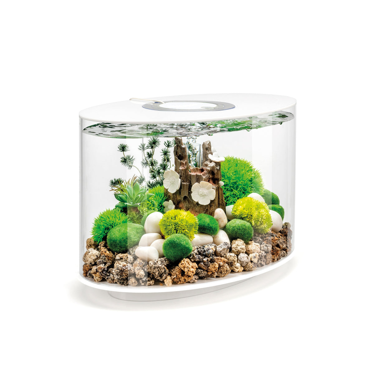 LOOP 15 Aquarium with standard LED white light – biOrb