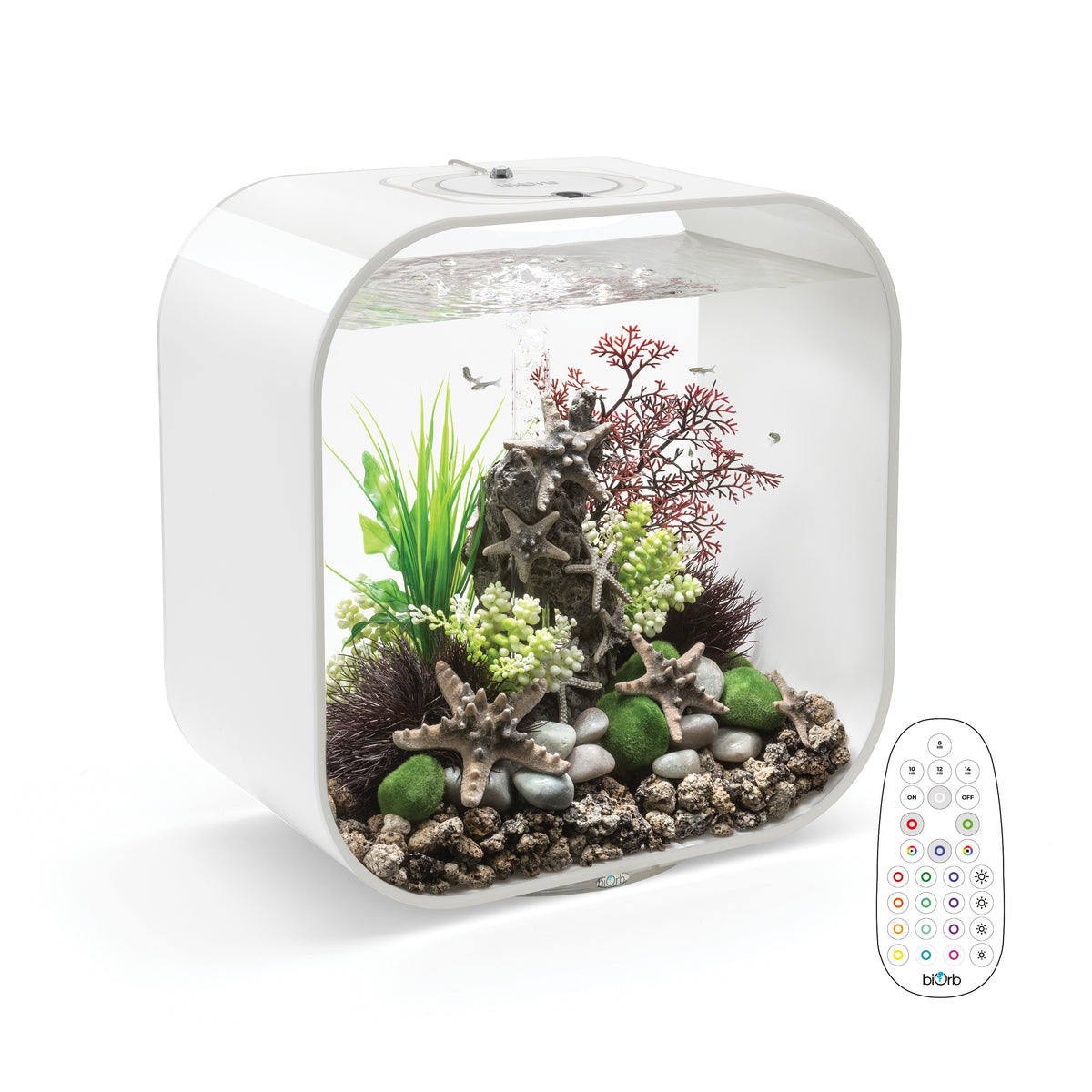 LIFE 30 Aquarium with Multi Colour LED light - remote control – biOrb