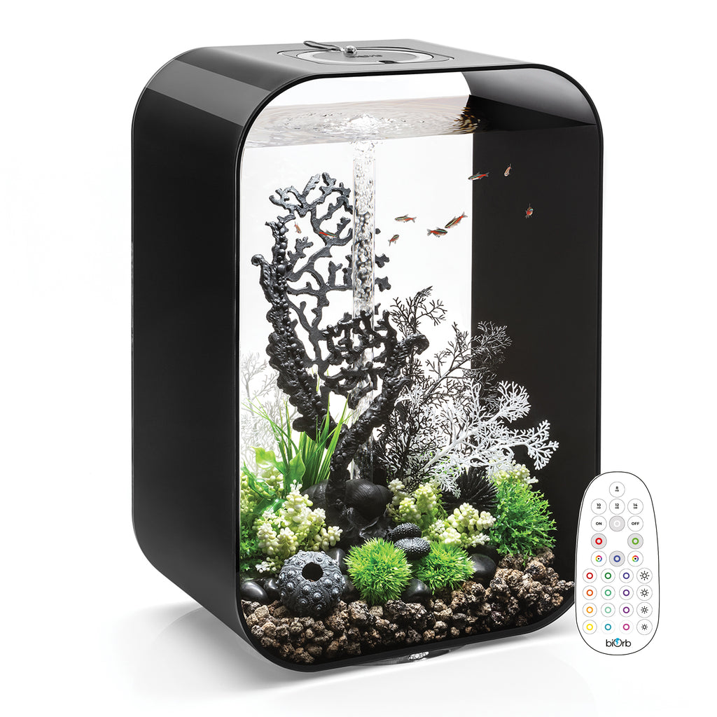 LIFE 60 Aquarium with Multi Colour LED light - remote control – biOrb-uk