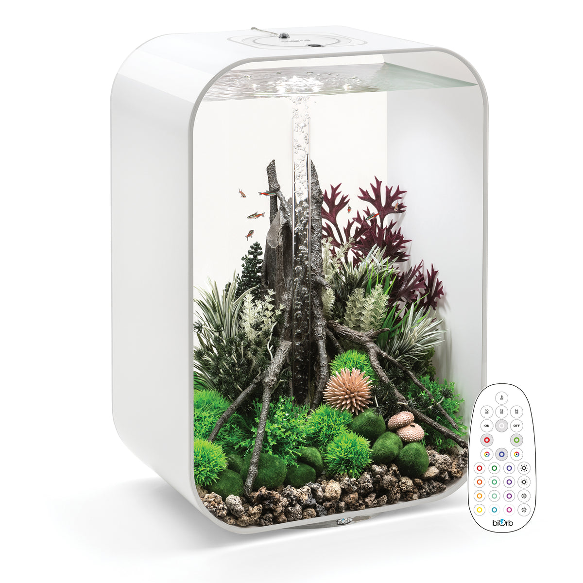 LIFE 60 Aquarium with Multi Colour LED Light – biOrb